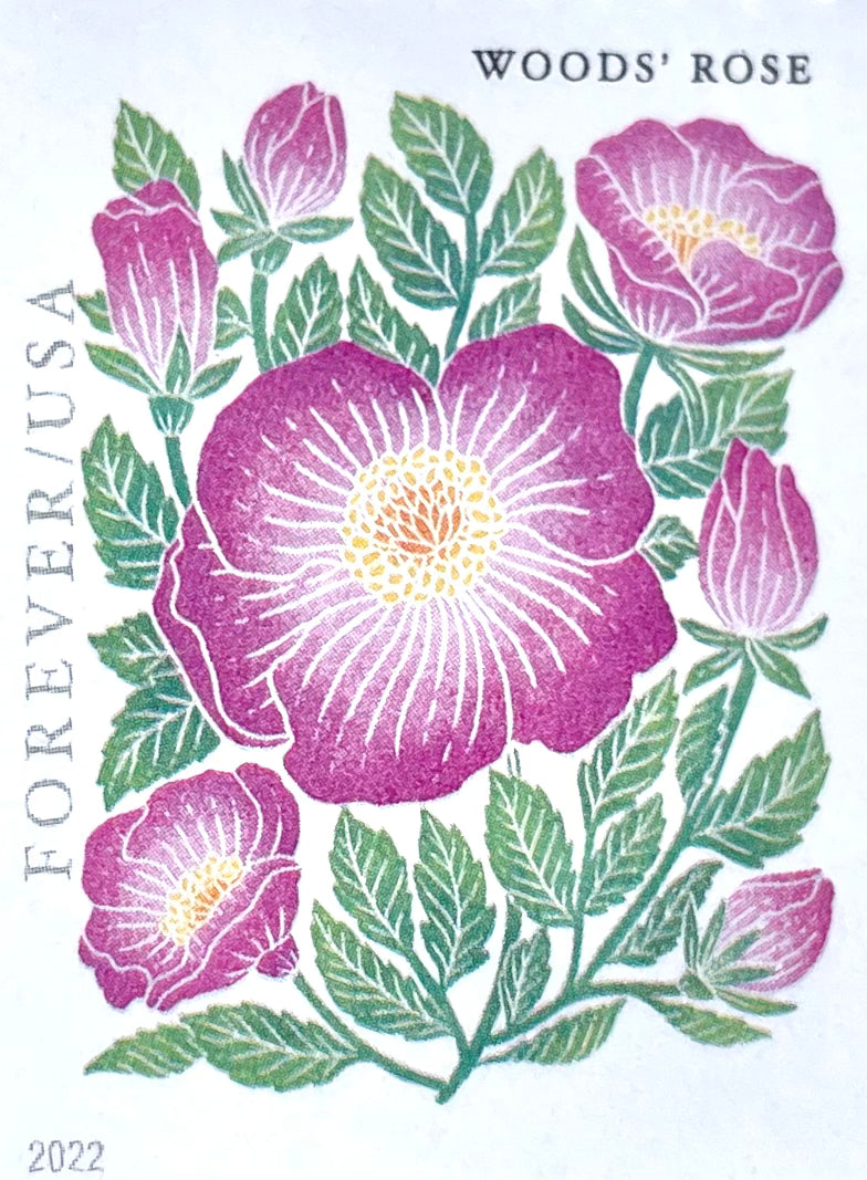 10 Wild Rose Forever Stamps Unused Pink Floral Forever Postage Stamps ...