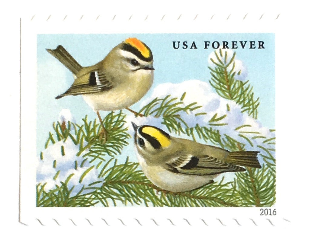 10 Evergreen Birds Forever Stamps Unused Postage for Mailing ...