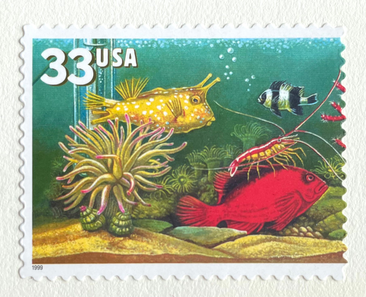 10 Tropical Fish Stamps Unused For Mailing – Edelweiss Post