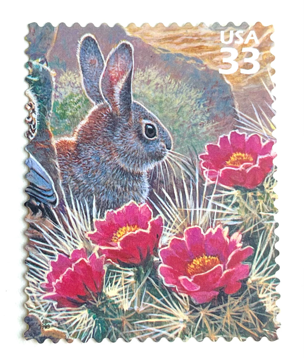 10 Bunny Rabbit Stamps Vintage Desert Cottontail Postage Stamps For Ma ...