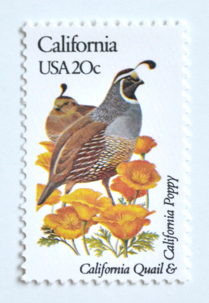10 California Poppy Postage Stamps Vintage Unused California Quail Sta ...