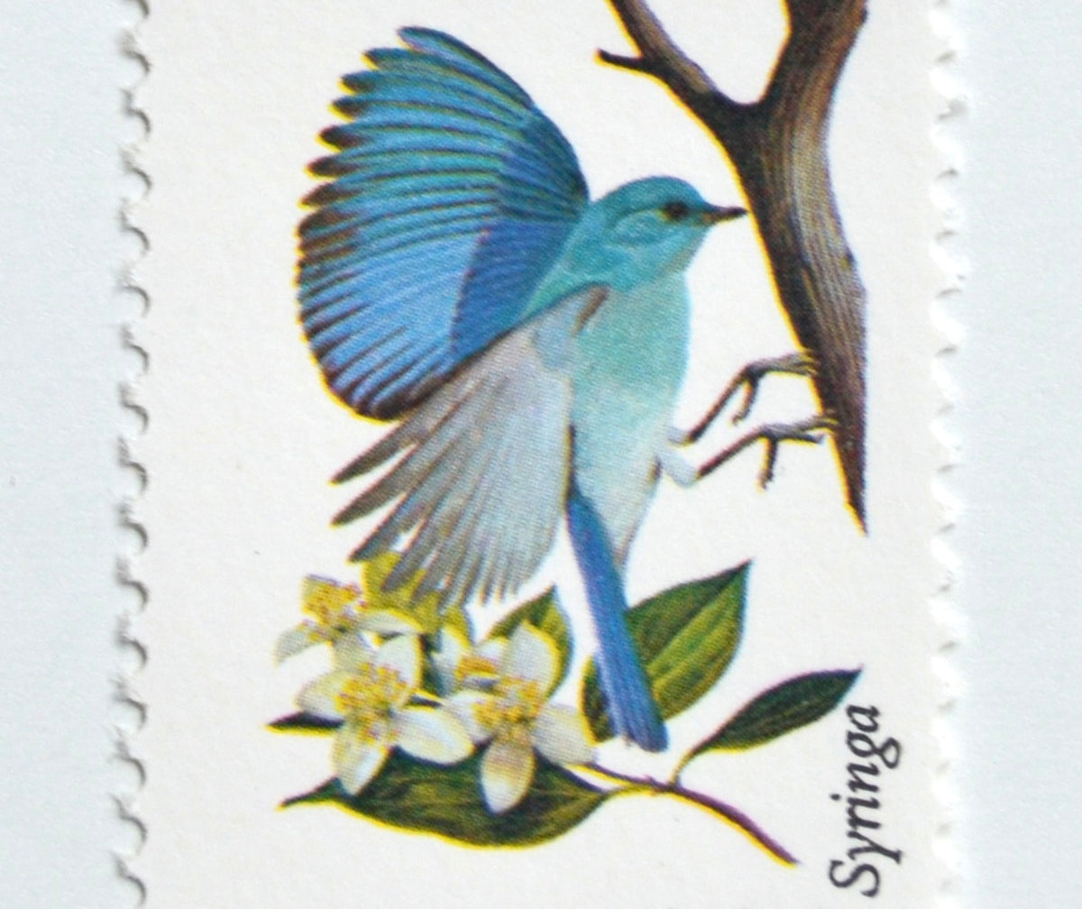 10 Bluebird Vintage Postage Unused Idaho Mountain Bluebird Stamps for ...