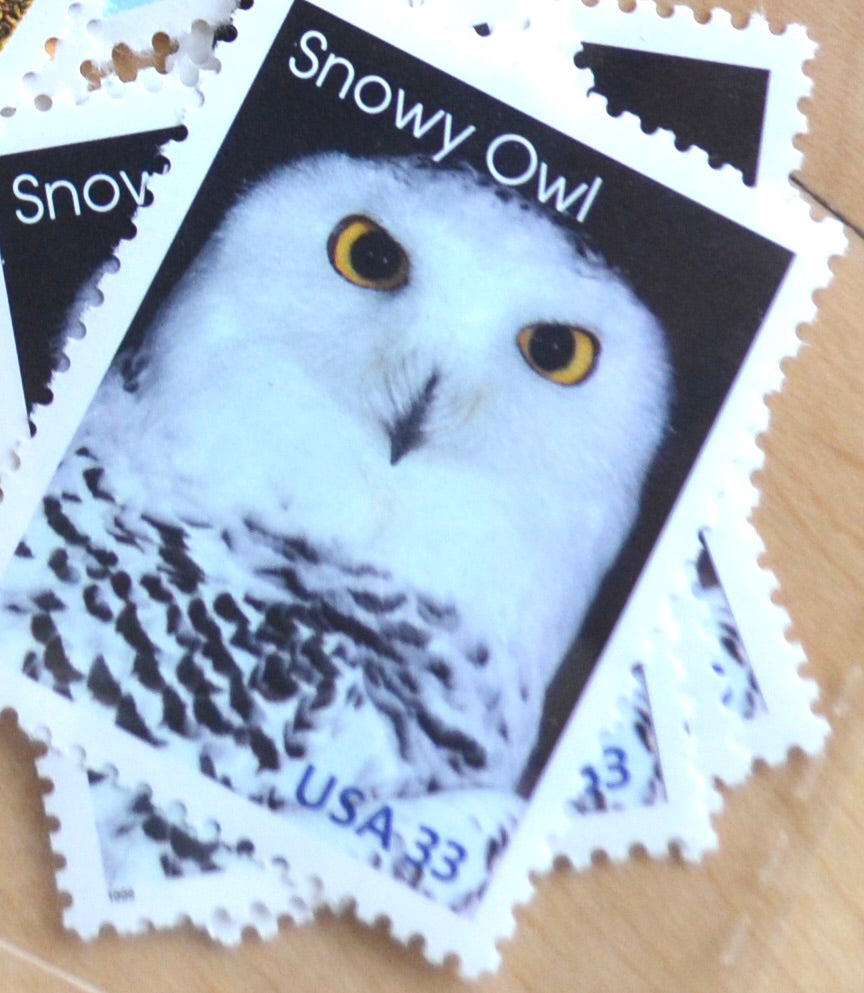 10 Snowy Owl Stamps Unused Vintage Postage Stamps For Mailing ...