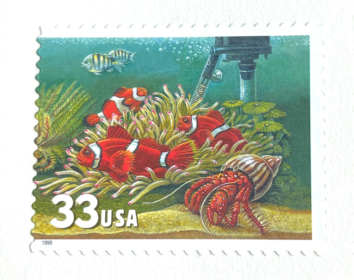 10 Tropical Fish Stamps Unused Clownfish Aquarium Reef Postage For Mai ...