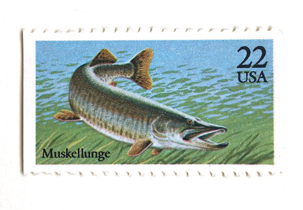 10 Fishing Postage Stamps Unused Vintage Muskellunge Fish Stamps for M ...