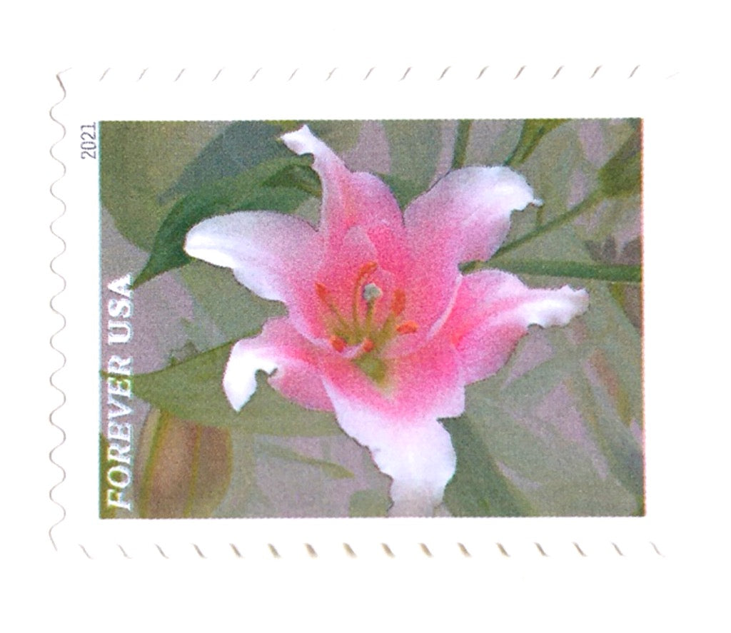 10 Pink Flower Forever Postage Stamps Unused Lily Stamps For Mailing ...