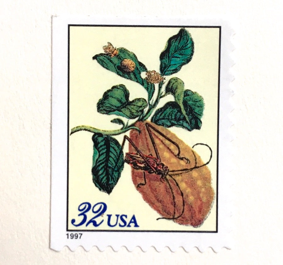 10 Vintage Botanical Illustration Stamps Unused Postage For Mailing ...