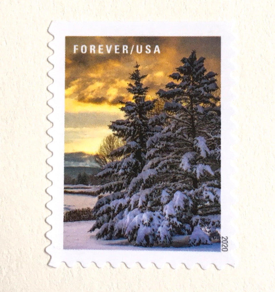 10 Evergreen Forever Stamps for Mailing Winter Pine Tree Forever Stamp ...