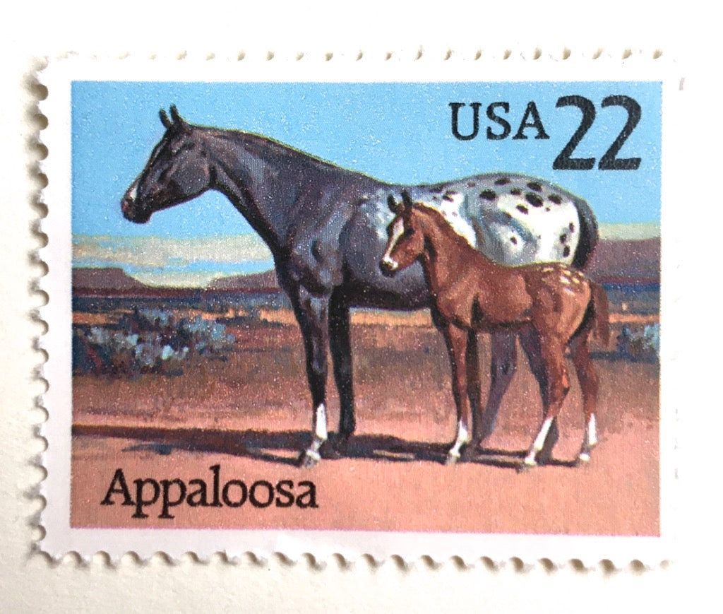 10 Vintage Horse Stamps Unused Appaloosa Horse Western Postage Stamps ...