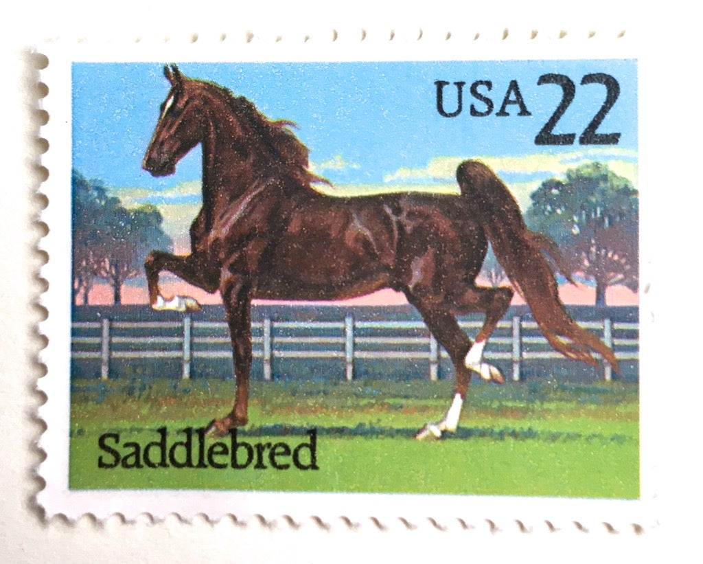 10 Vintage Horse Stamps Unused Saddlebred Horse Postage Stamps For Mai ...