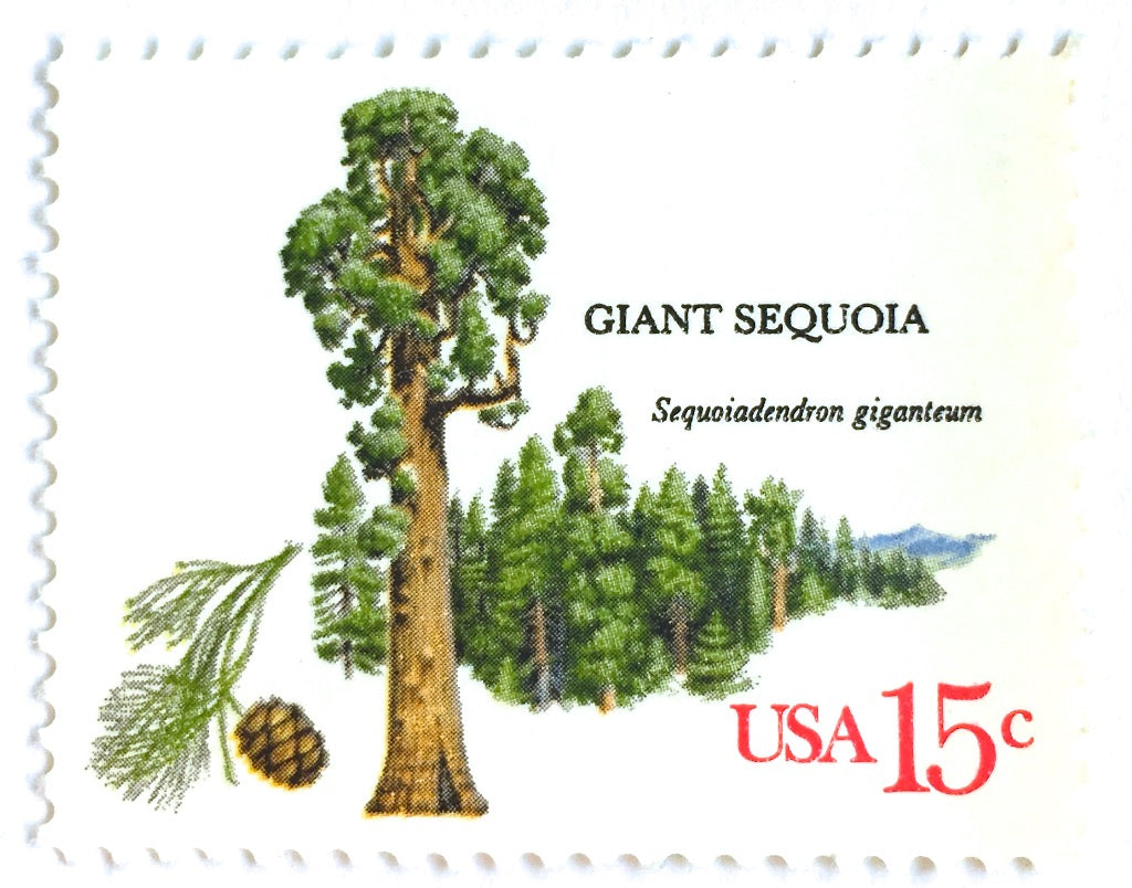 10 Vintage Sequoia Redwood Stamps Unused Vintage California Redwood Fo ...