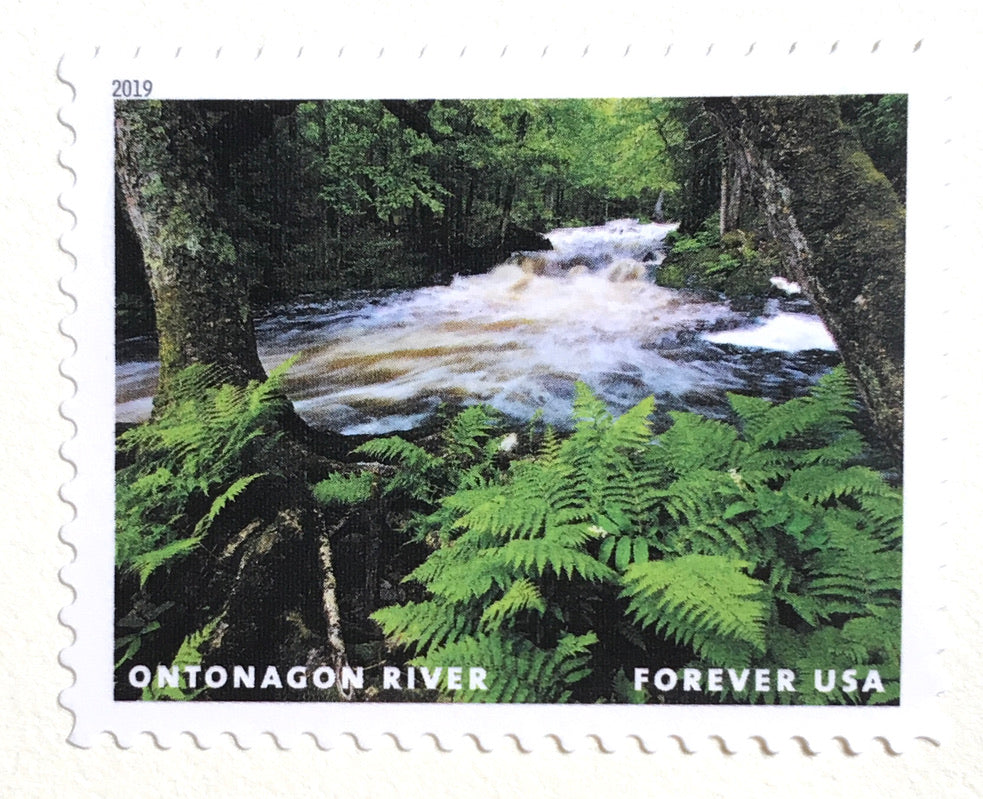 10 Forest Forever Stamps Green Woods Wedding Postage for Mailing ...