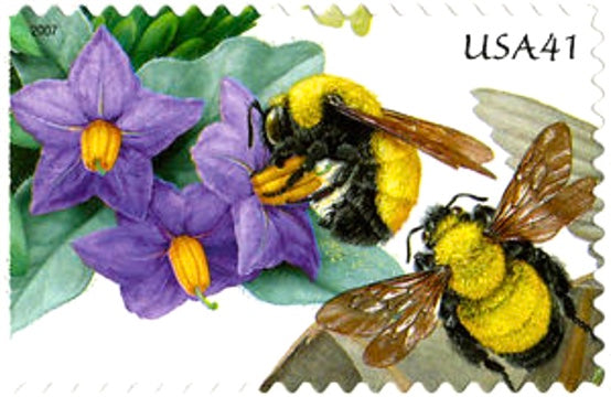 10 Bee Postage Stamps Unused Garden Bees Stamps // Honey Bee Postage f ...