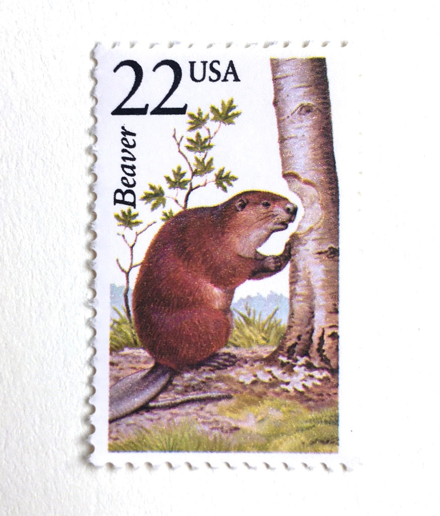 10 Vintage Beaver Postage Stamps Unused 1987 Vintage 22 Cent Woodland ...