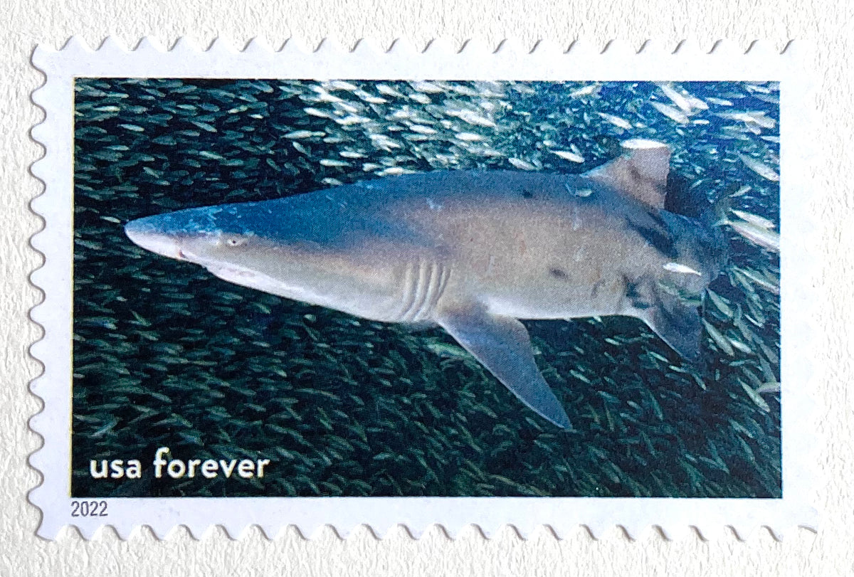 10 Shark Forever Stamps Unused Postage for Mailing – Edelweiss Post