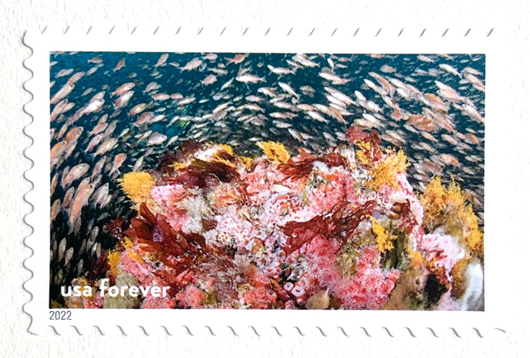 10 Coral Reef Forever Stamps Unused Ocean Postage for Mailing ...