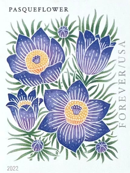 10 Blue Flower Forever Stamps Unused Blue Pasqueflower Postage for Mai ...