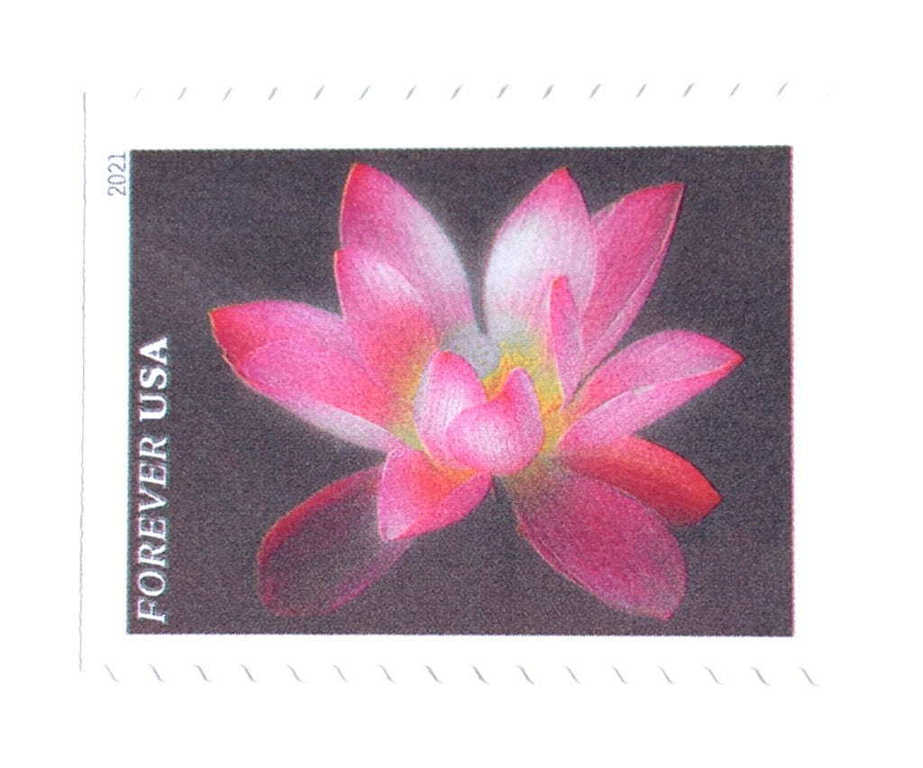 10 Pink Flower Forever Postage Stamps Unused Botanical Stamps For Mail ...