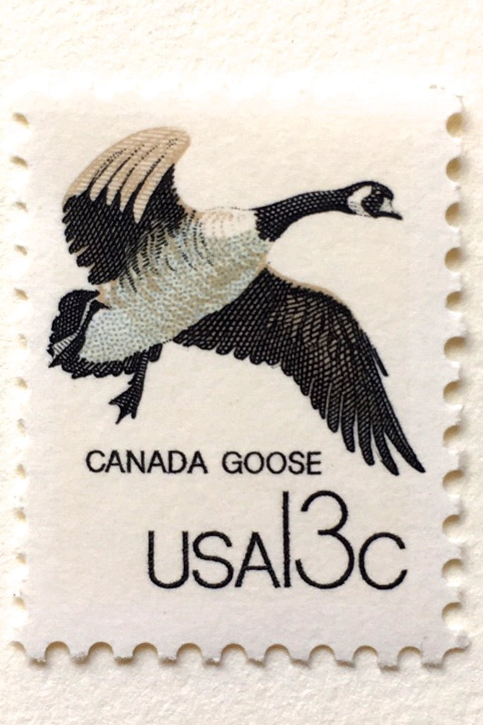 10 Canada Goose Postage Stamps Vintage Unused 13 Cent Canadian Geese S ...