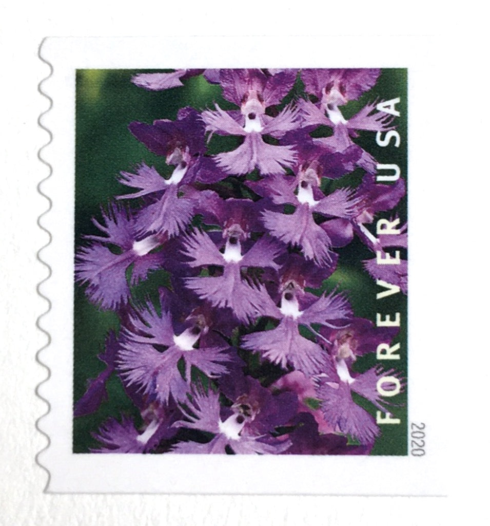 10 Purple Flowers Forever Stamps Unused Green and Purple Wild Orchids ...