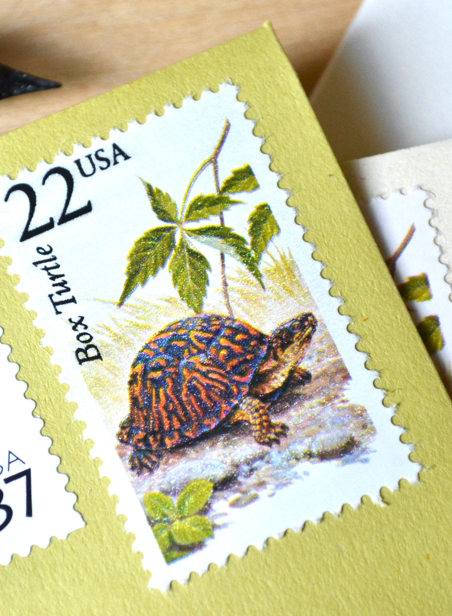 10 Turtle Stamps Box Turtles Unused Vintage Postage Stamps for Mailing ...