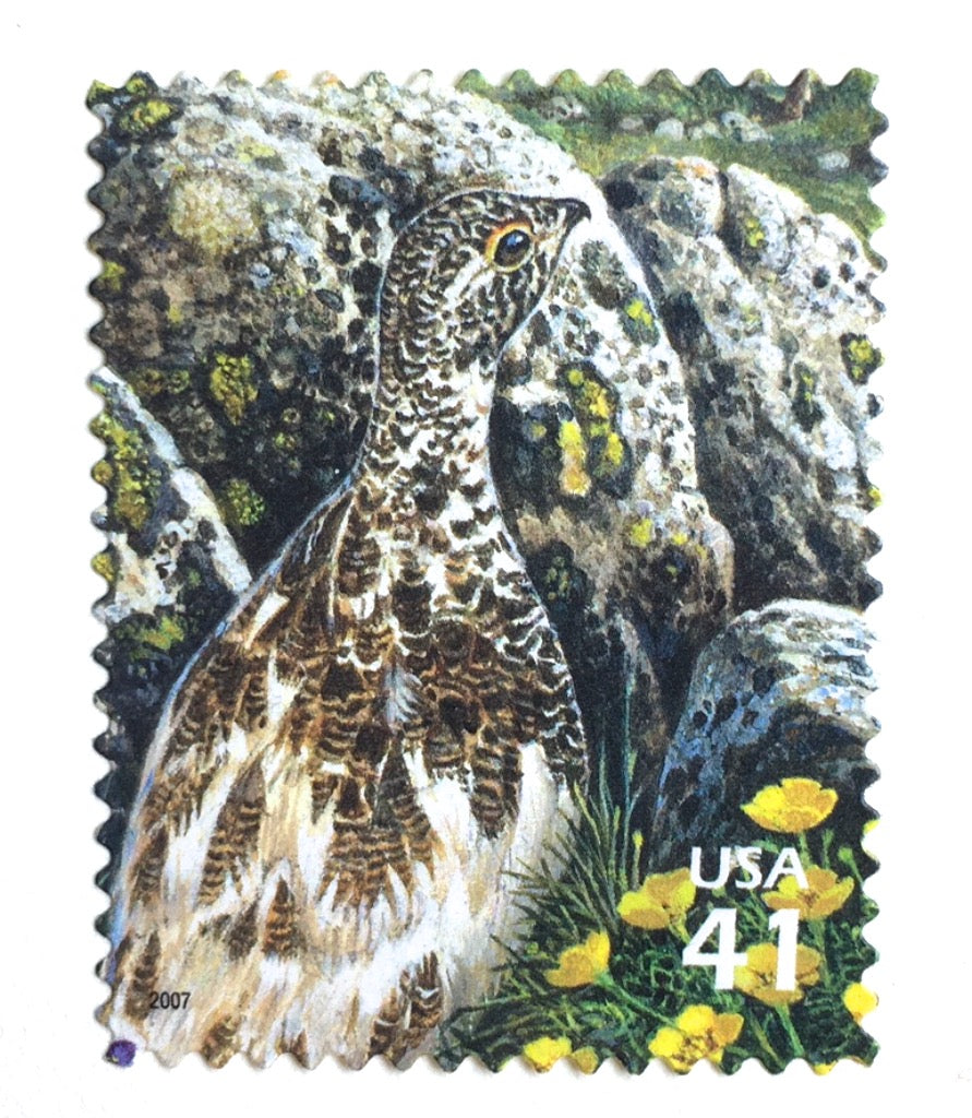 10 Forest Boulder Stamps Vintage Mountain Wilderness Postage Stamps Fo ...