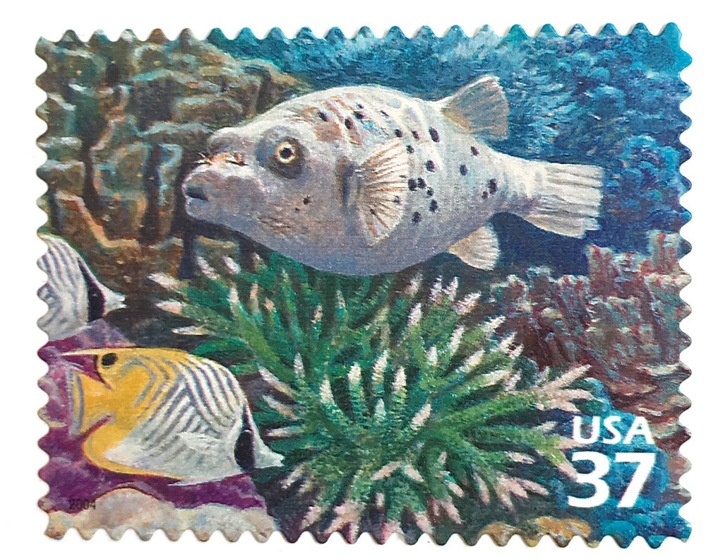 10 Tropical Coral Reef Puffer Fish Stamps Unused For Mailing Tropical ...