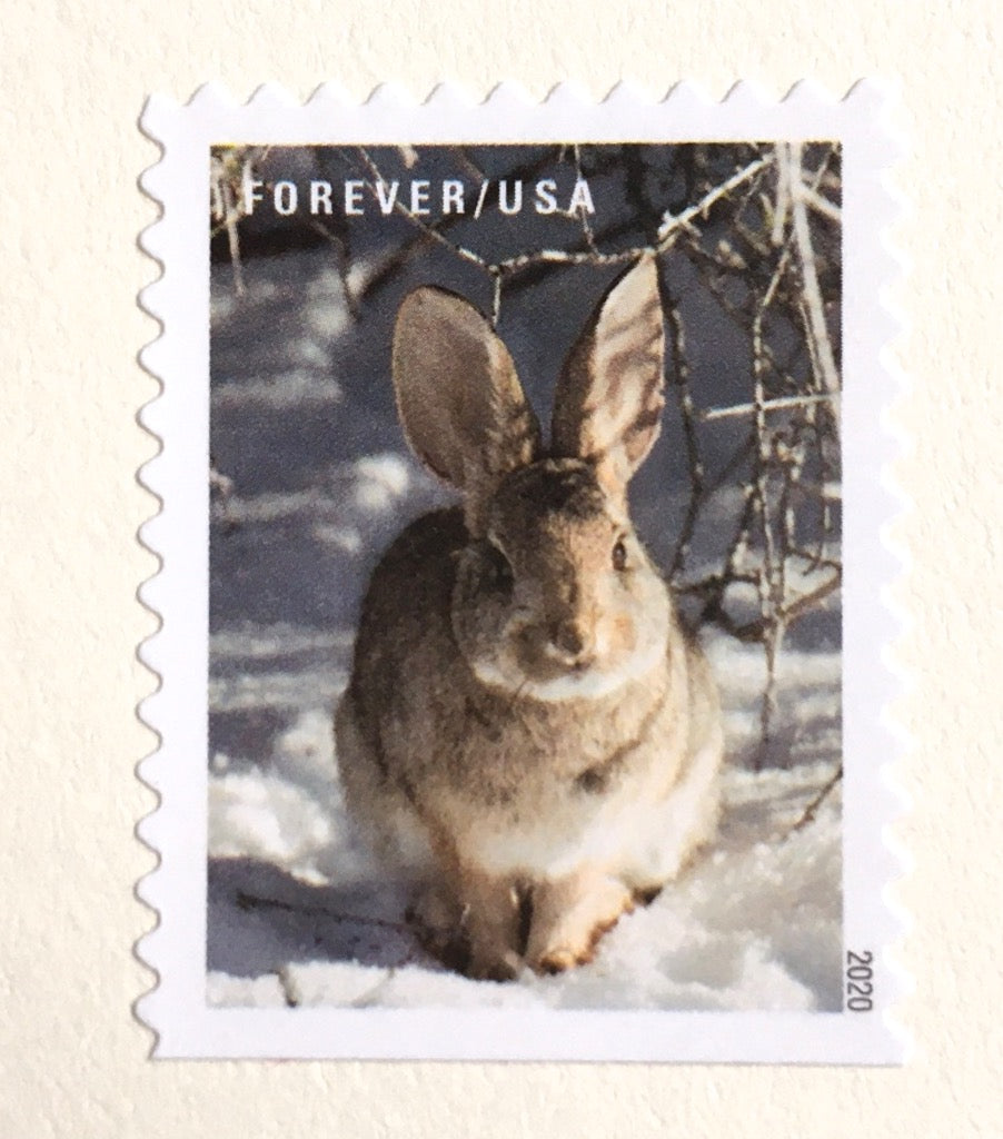 10 Bunny Forever Stamps Rabbit Postage Unused Stamps For Mailing ...