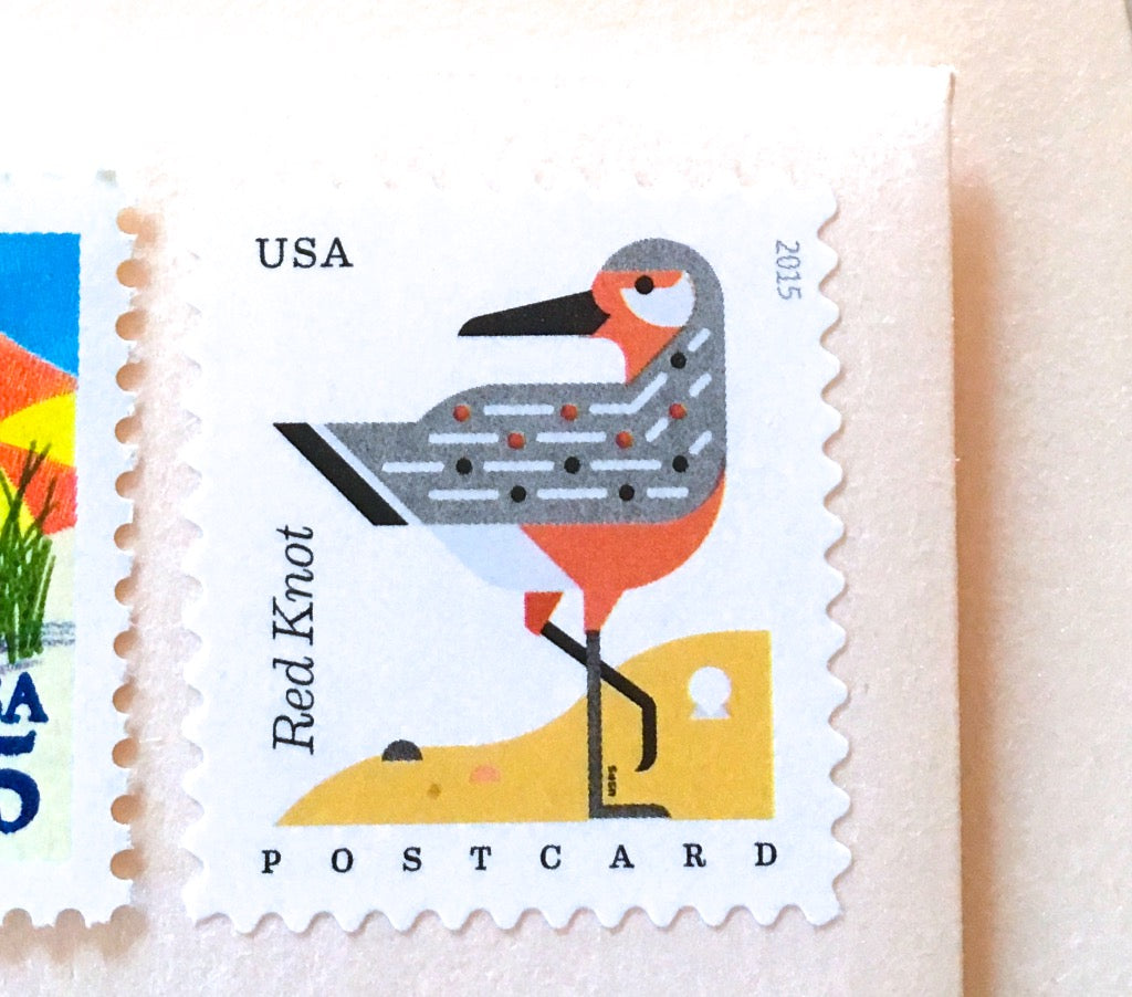 10 Beach Bird Postage Stamps 61 Cent Red Knot Coastal Bird // For Flor ...
