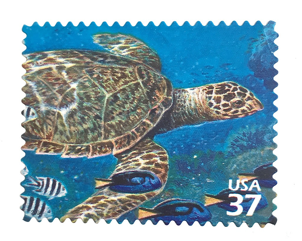 10 Vintage Sea Turtle Postage Stamps Unused for Mailing – Edelweiss Post