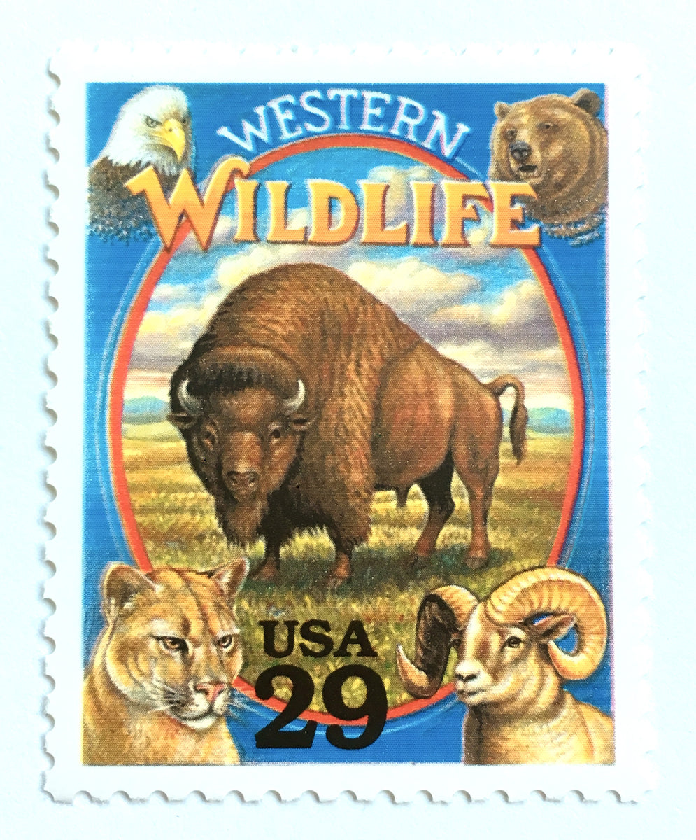 10 Buffalo Postage Stamps Vintage Unused American Bison Stamps For Mai 10 Buffalo Postage Stamps Vintage Unused American Bison Stamps For Mai