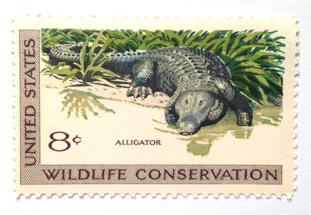 10 Vintage Alligator Stamps Unused Florida Gator Postage Stamps for Ma ...