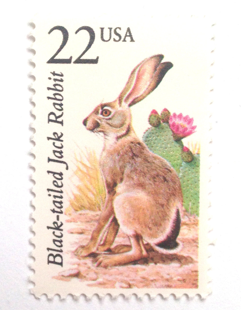 10 Rabbit Stamps Unused Vintage Jack Rabbit Postage For Mailing ...