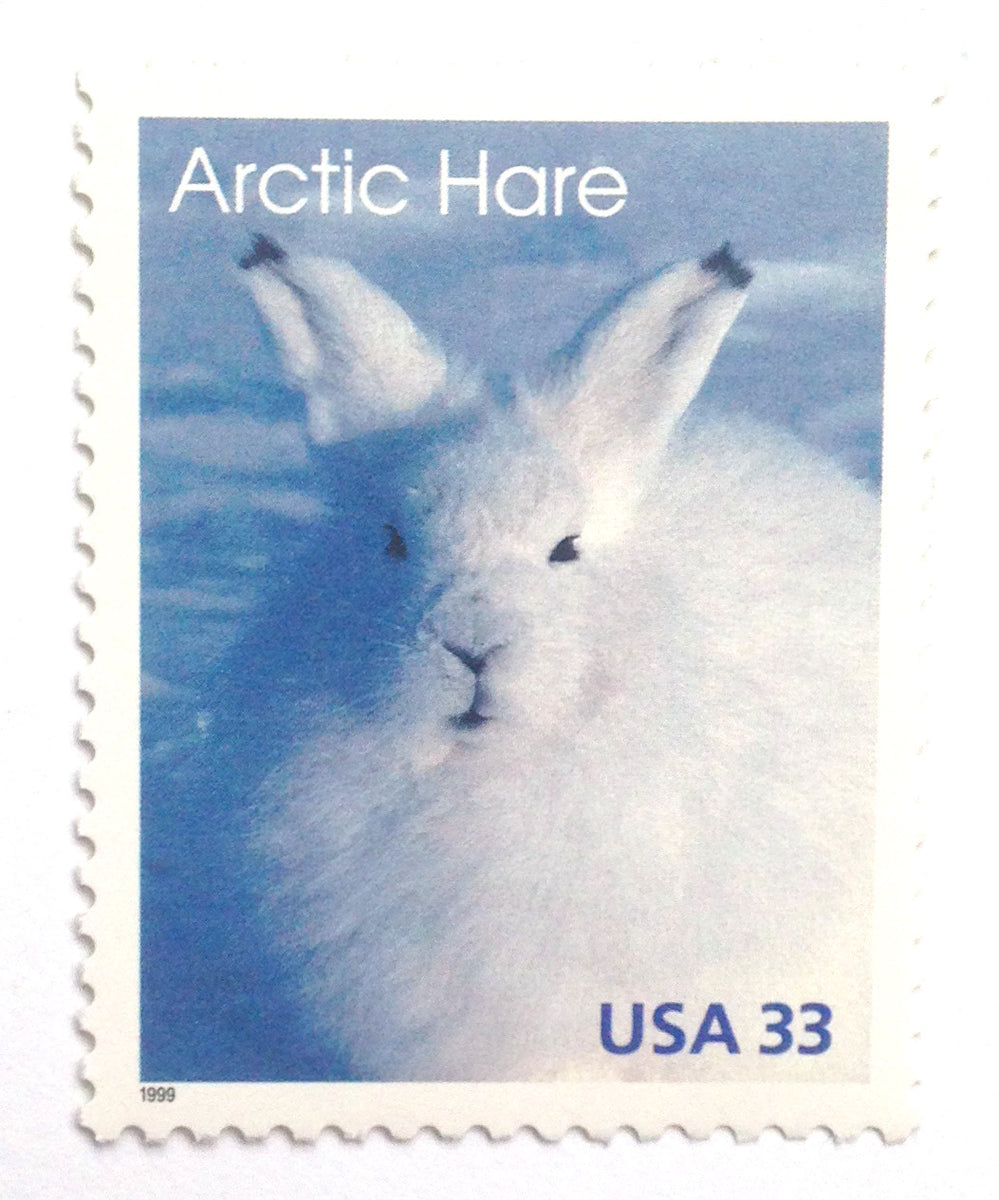 10 Bunny Stamps White Rabbit Arctic Hare Unused Postage For Mailing ...