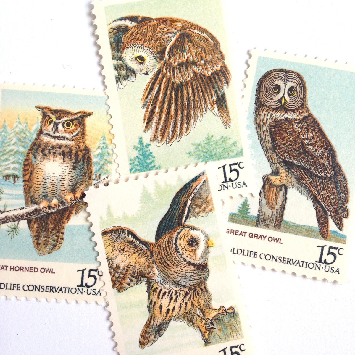 12 Vintage Owl Stamps Unused Pine Tree Postage For Mailing – Edelweiss Post