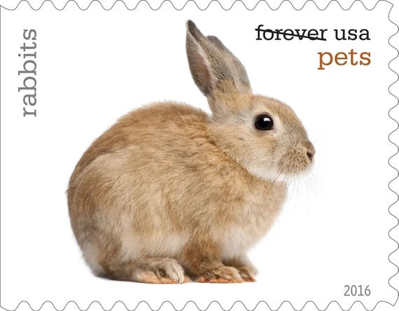 10 Rabbit Forever Stamps Unused Bunny Rabbit Postage Stamps For Mailin ...